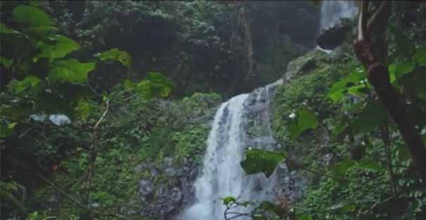 Selayang Pandang Desa Selat - Website Desa Selat